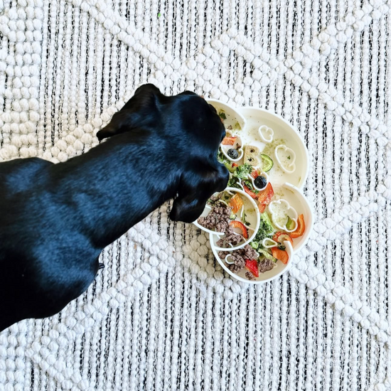 Ollie B. Good - pet goods for good pets – ollie b. good