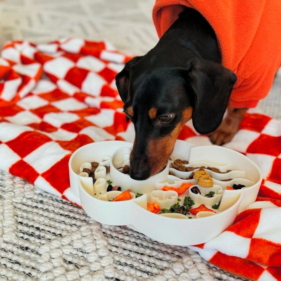 shop all – ollie b. good