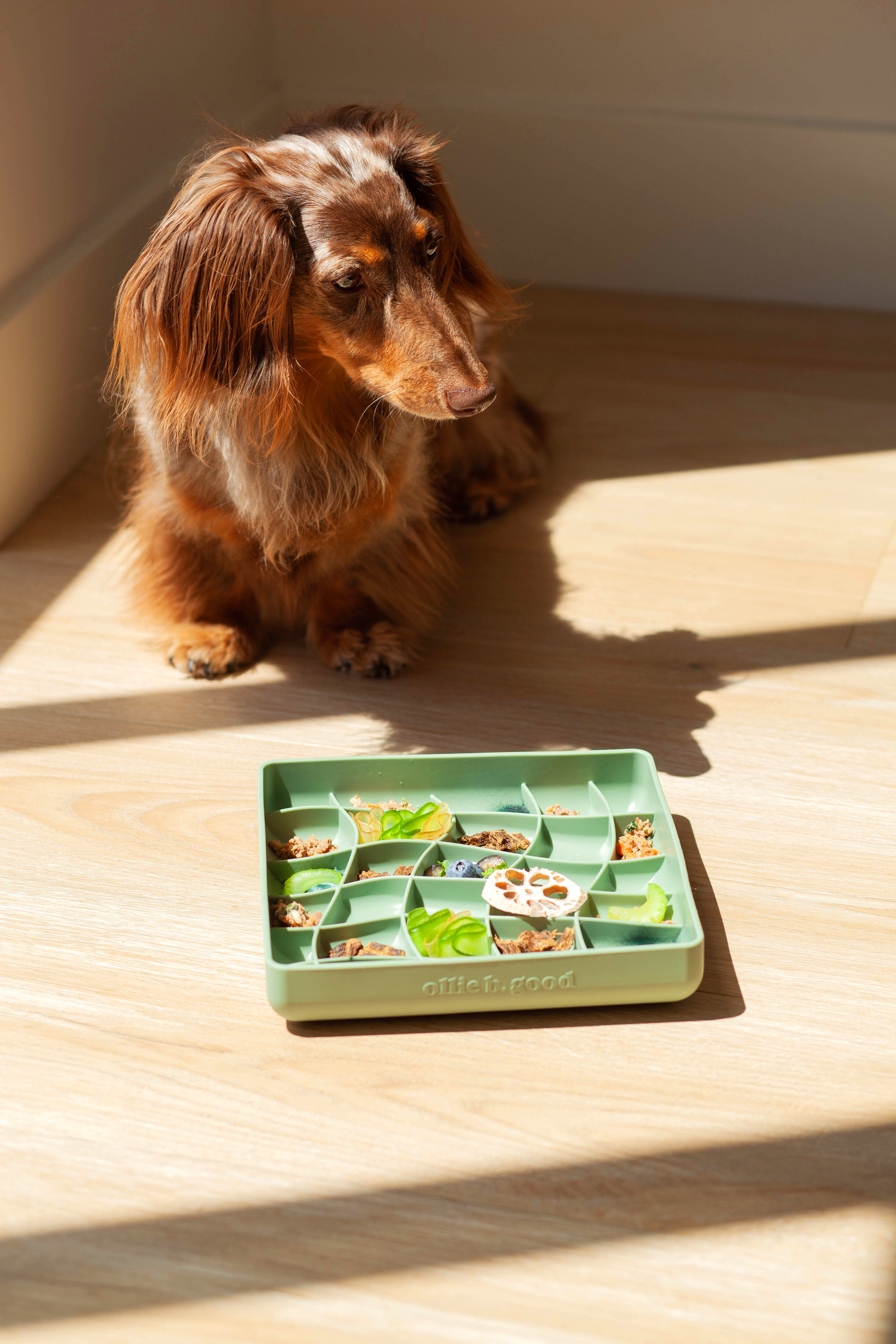 Ollie B. Good - pet goods for good pets – ollie b. good