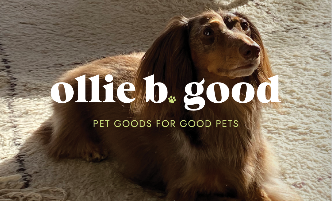 ollie b. good - pet goods for good pets